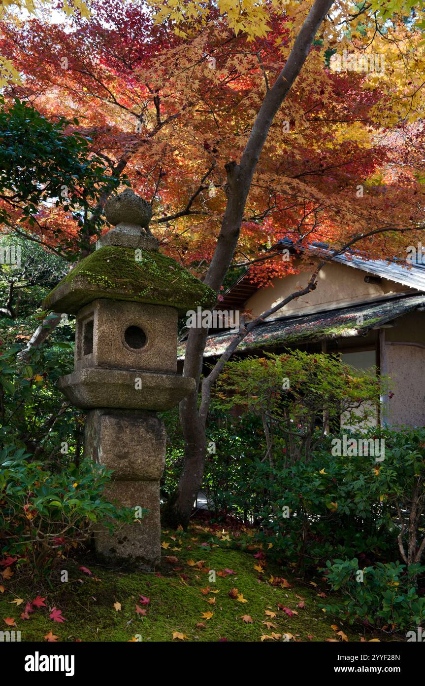 Japanese landscape garden during autumn foliage, fall colors season at ...
