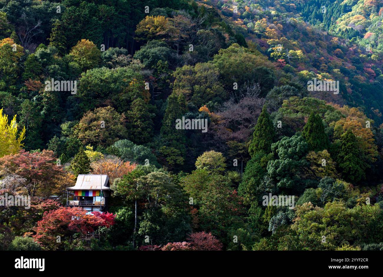 Daihikaku Senkoji Zen Buddhist temple perched on the mountainside above ...