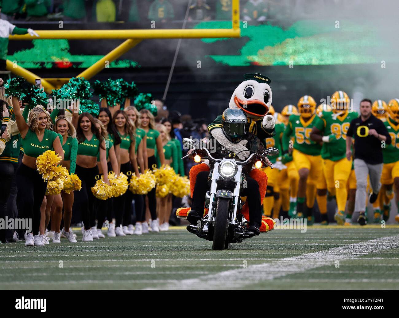 Autzen Stadium, Eugene, OR, USA. 09th Nov, 2024. The Oregon Duck gets ...