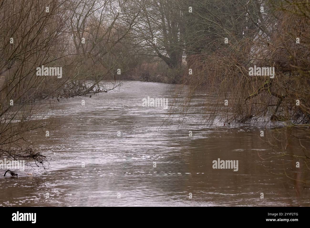 Level high hi-res stock photography and images - Alamy