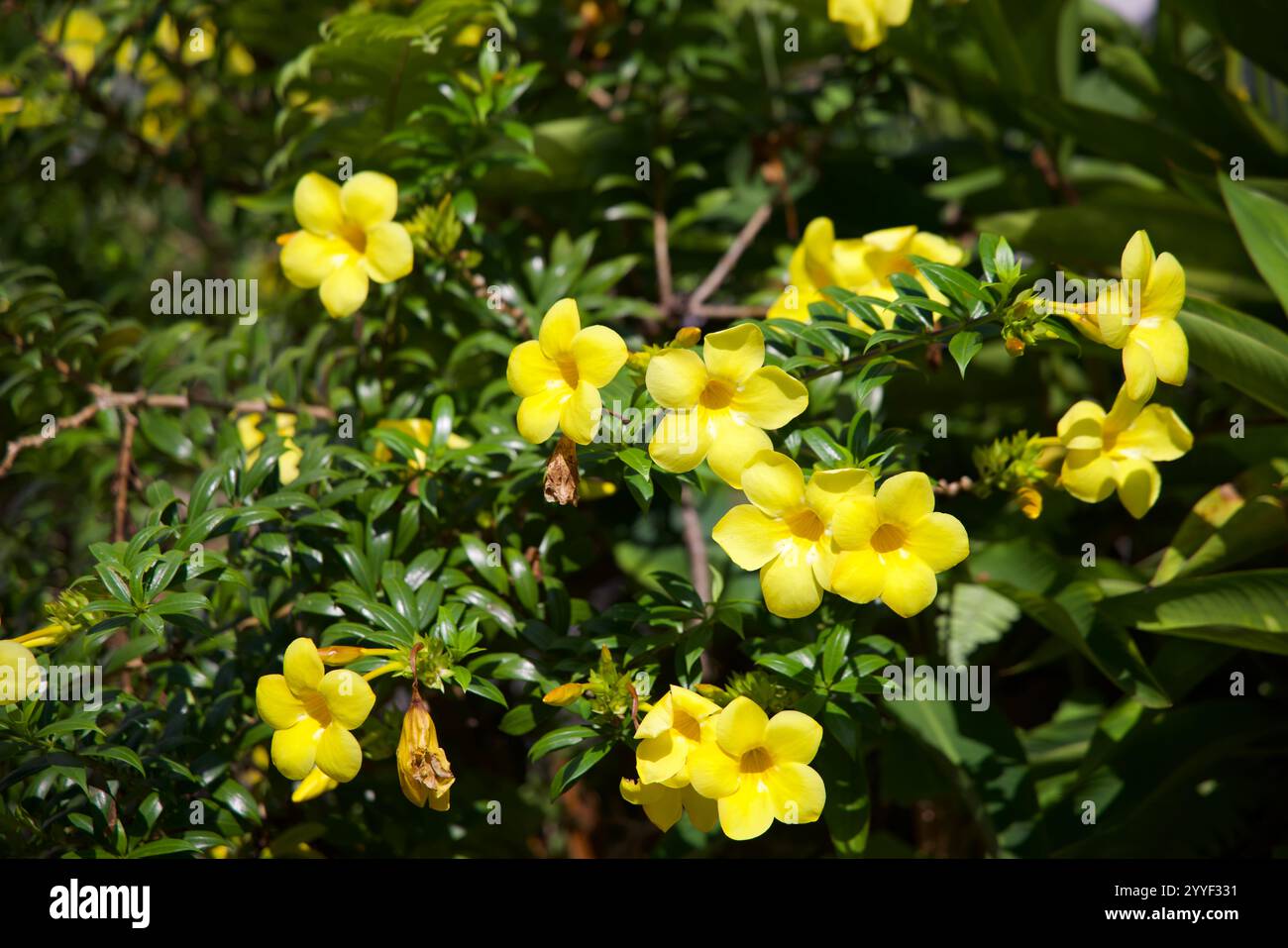 Siglap centre hi-res stock photography and images - Alamy
