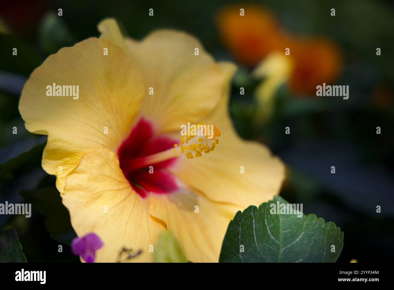 Siglap centre hi-res stock photography and images - Alamy