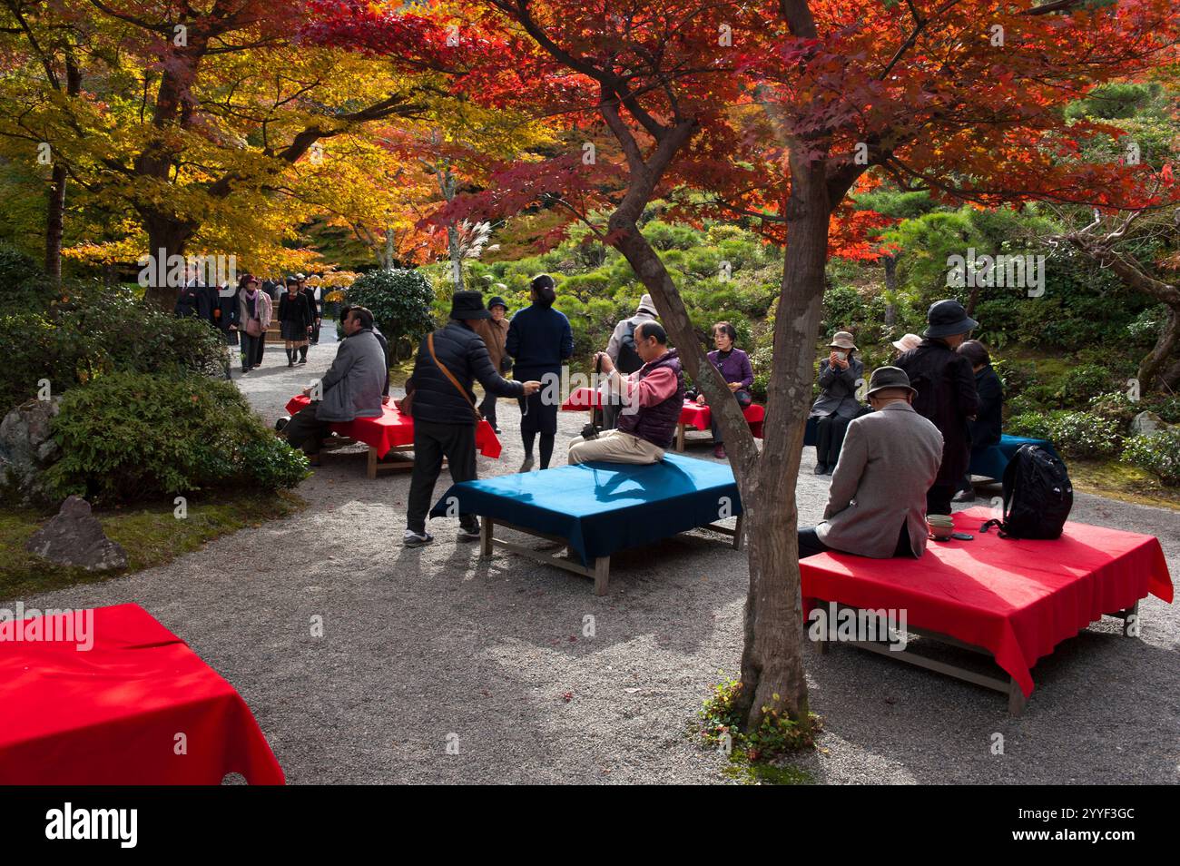 Visitors to Okochi Sanso Villa in Sagano Arashiyama, Kyoto relaxing ...