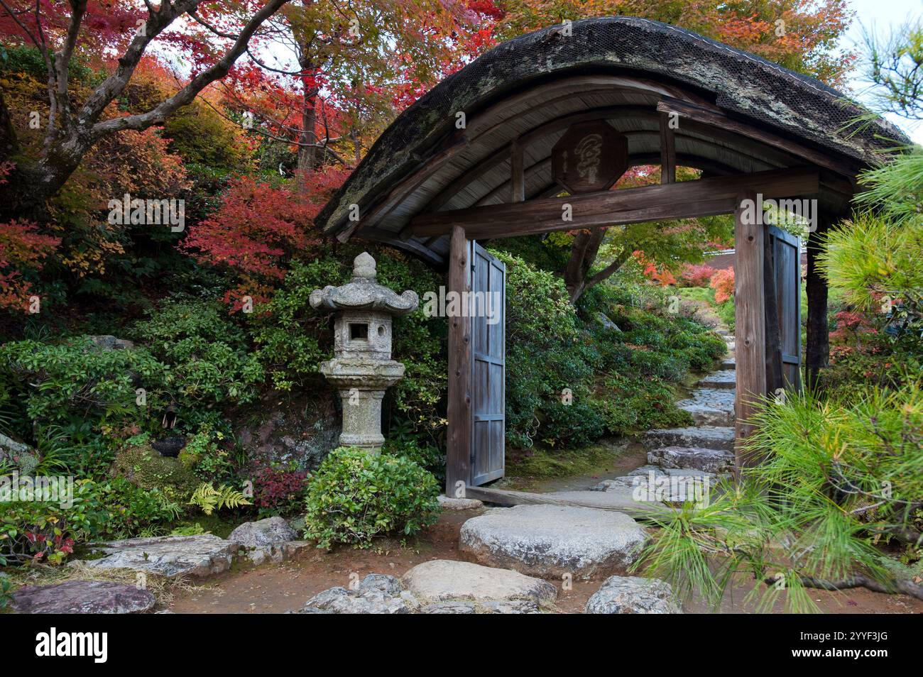Japanese landscape garden during autumn foliage, fall colors season at ...