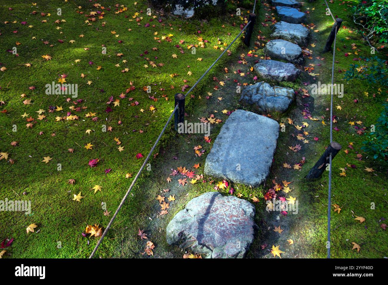 Japanese landscape garden during autumn foliage, fall colors season at ...