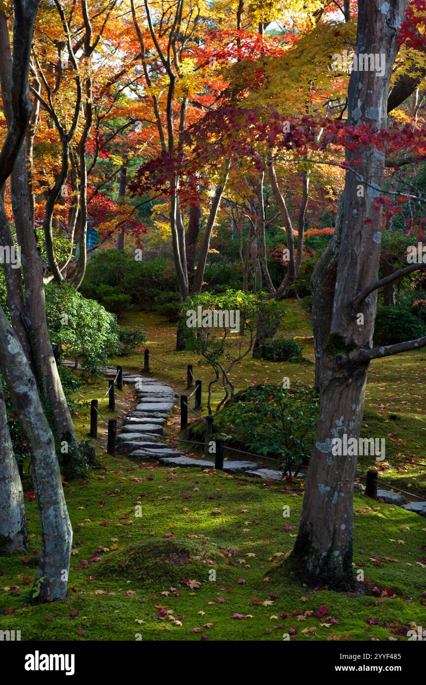 Japanese landscape garden during autumn foliage, fall colors season at ...