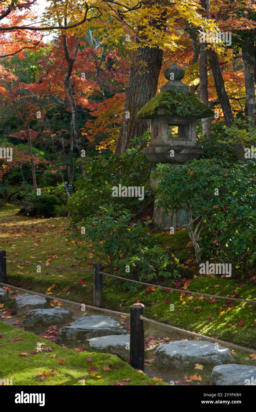 Japanese landscape garden during autumn foliage, fall colors season at ...