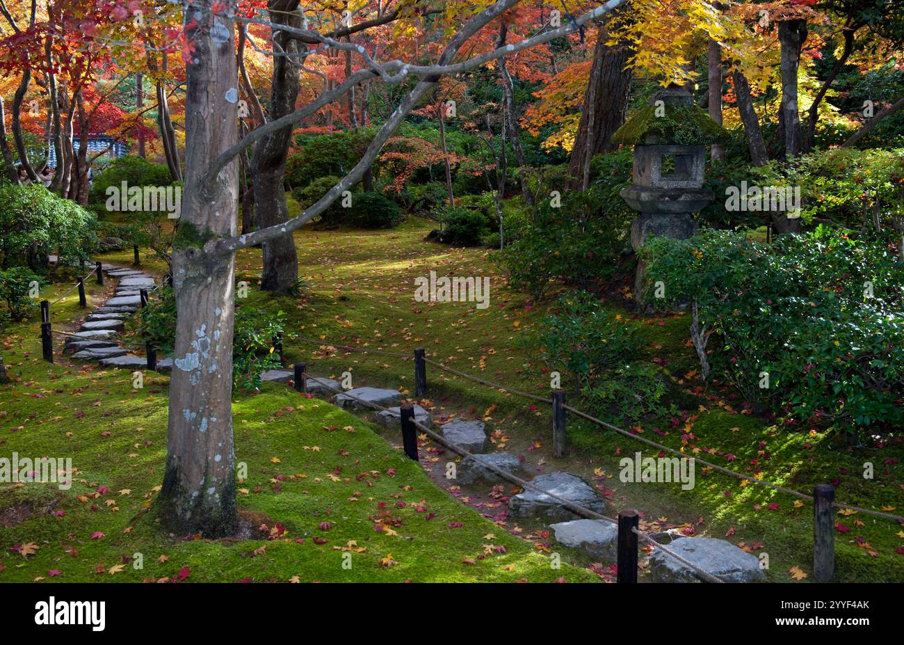 Japanese landscape garden during autumn foliage, fall colors season at ...