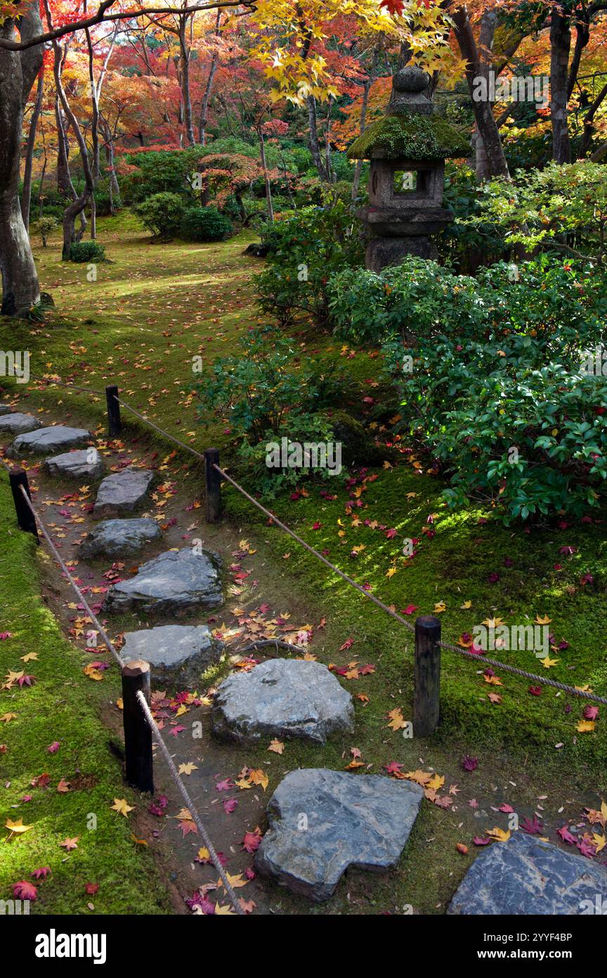Japanese landscape garden during autumn foliage, fall colors season at ...