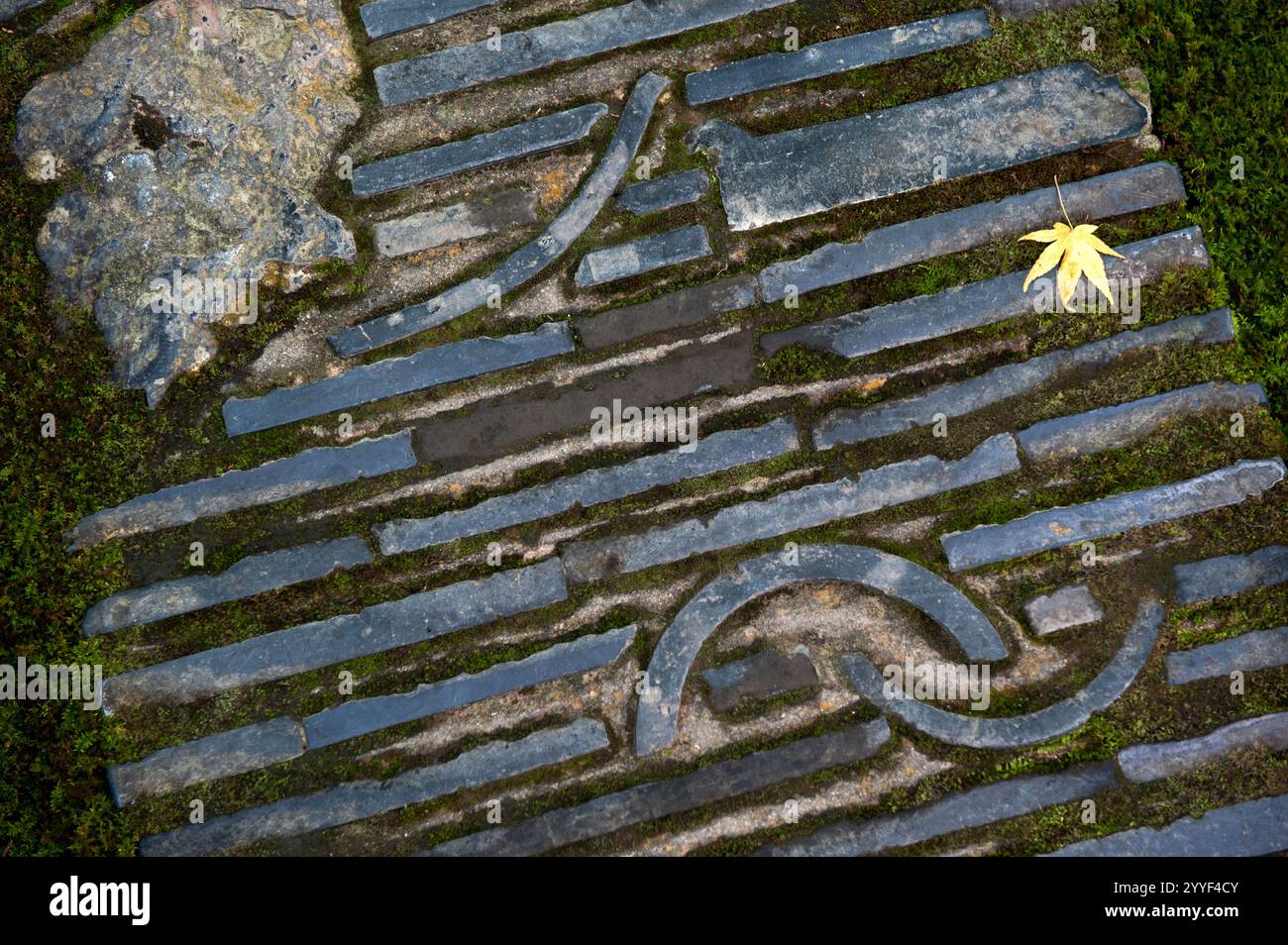 Stone pattern walkway with maple leaf in Japanese garden at Okochi ...