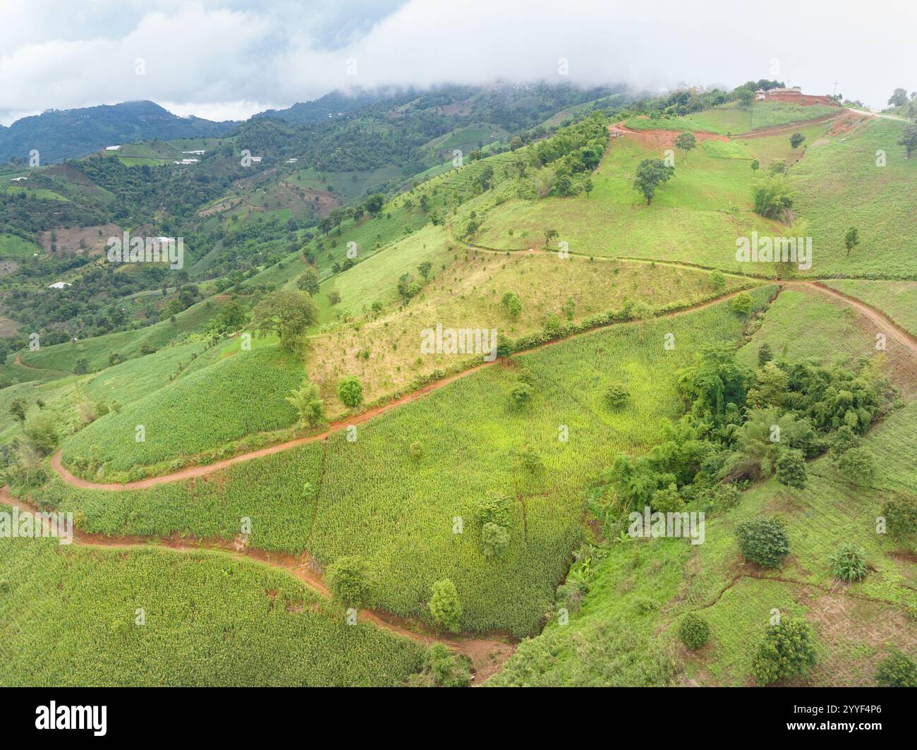 Deforestation rainforest erosion hi-res stock photography and images ...