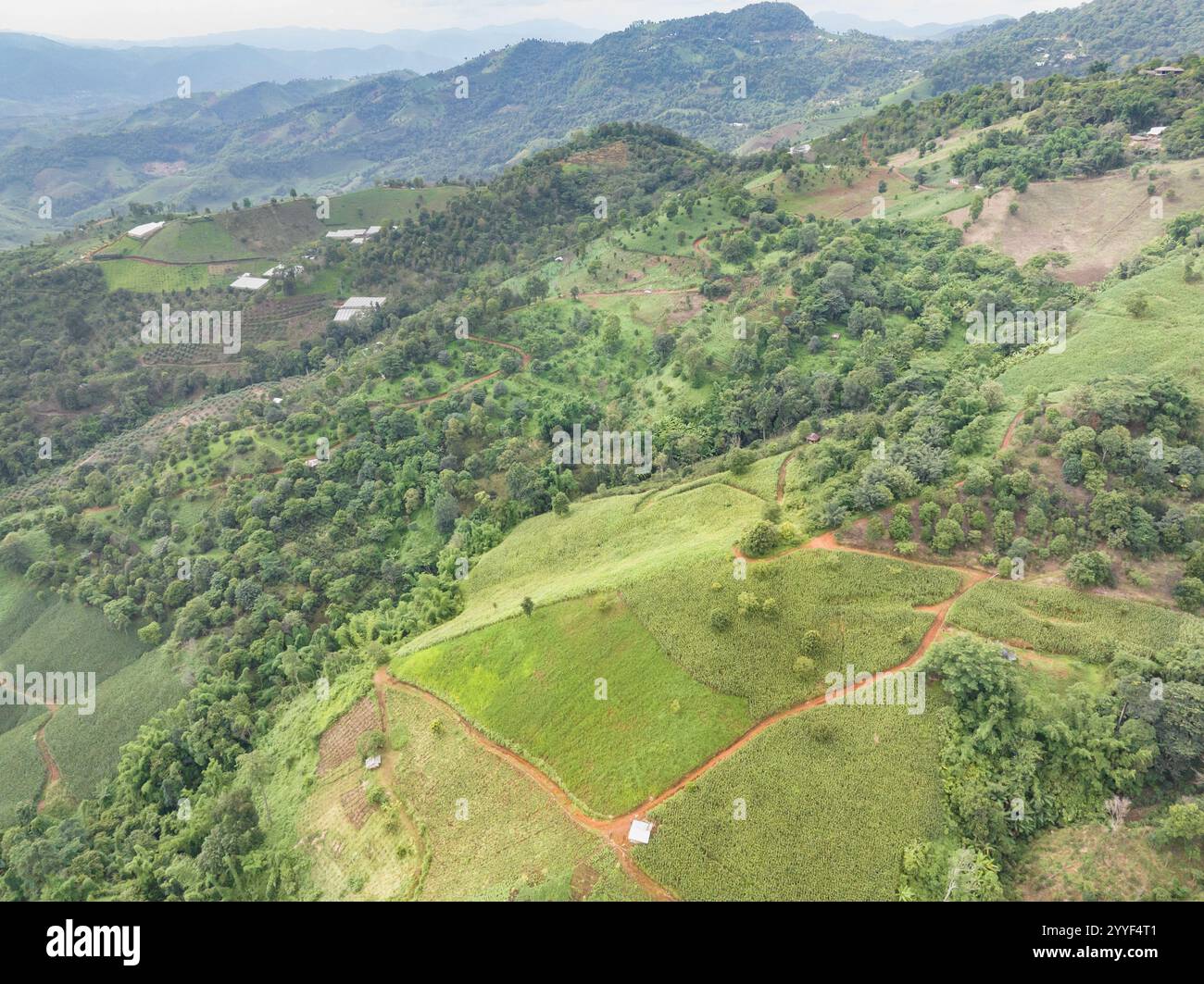 The biggest cause of forest loss is agricultural deforestation ...