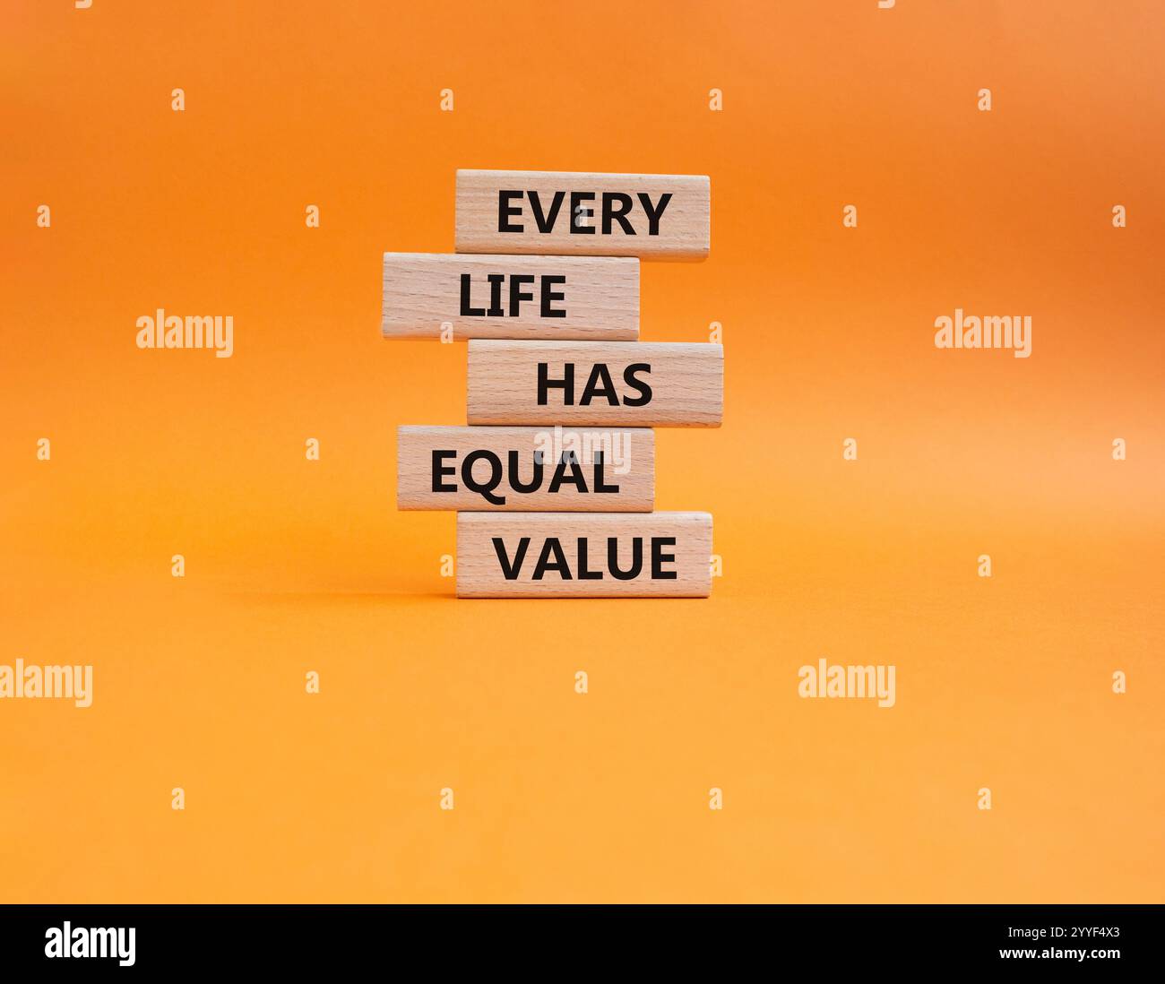 Equality symbol. Wooden blocks with words Every Life has Equal Value ...