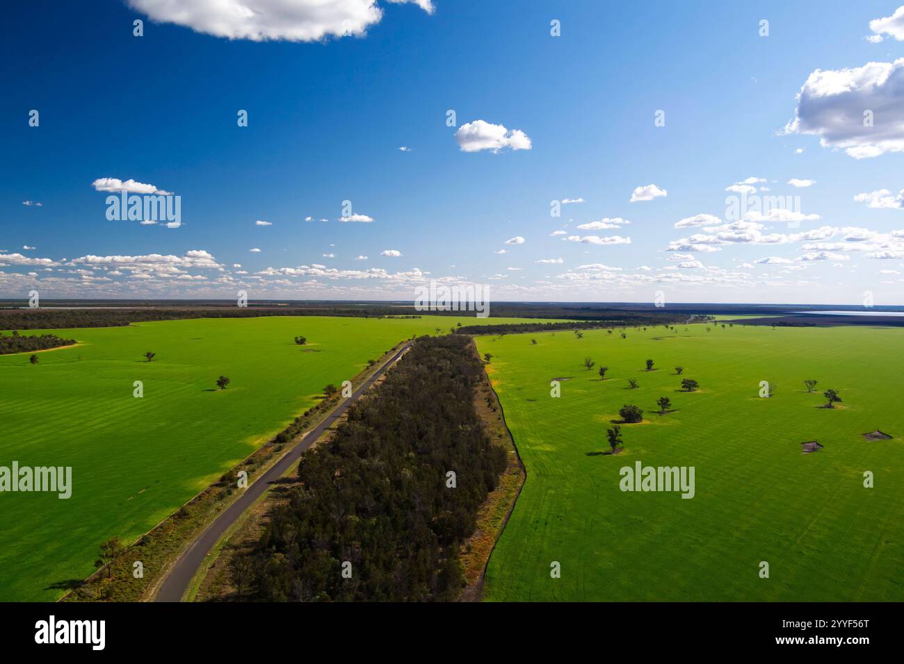 Aerial of the lush green - wheat fields near Mungindi Queensland/ New ...