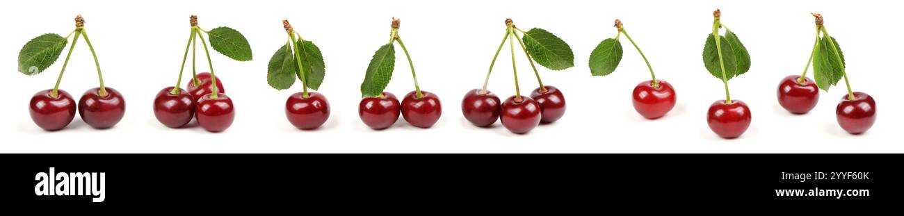 Collection of cherries with green leaf isolated on white background ...
