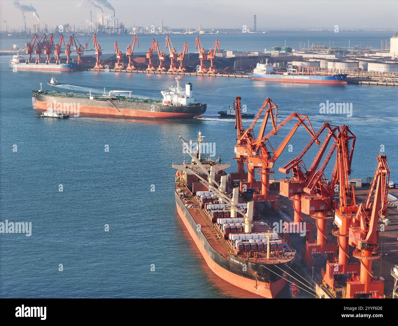 Yantai, China. 22nd Dec, 2024. YANTAI, CHINA- DECEMBER 22, 2024 - Photo ...