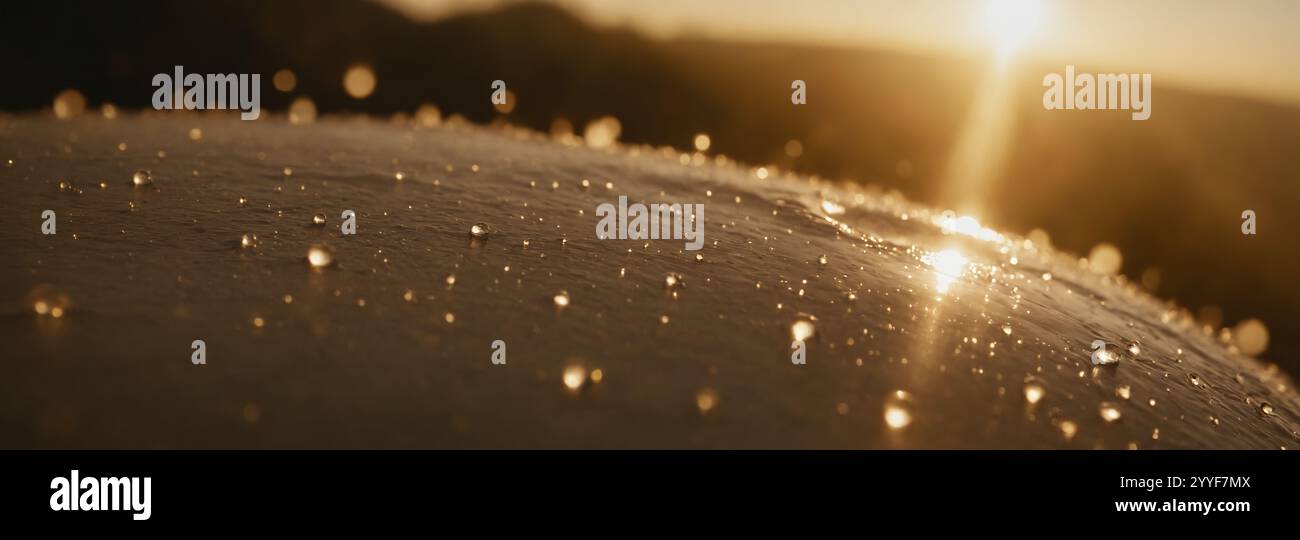 Concept of rain, sun and water. Drops of water shimmer in the backlight ...