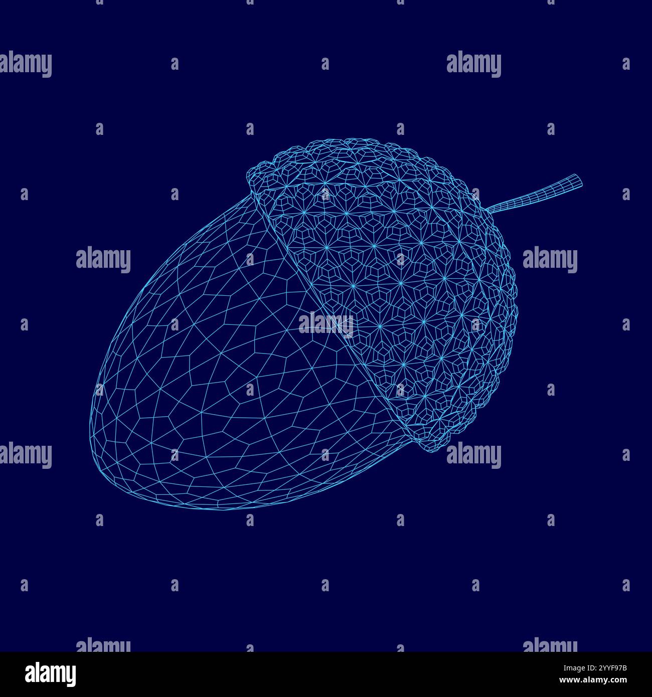Acorn wireframe isolated vector illustration on blue background. Oak ...