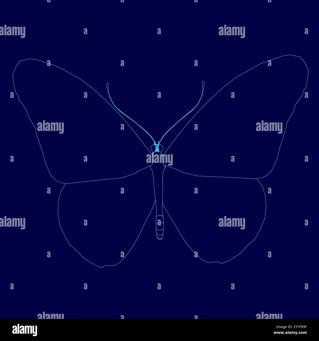 Contour of butterflies. Blue pictures of butterflies. Insect butterfly ...