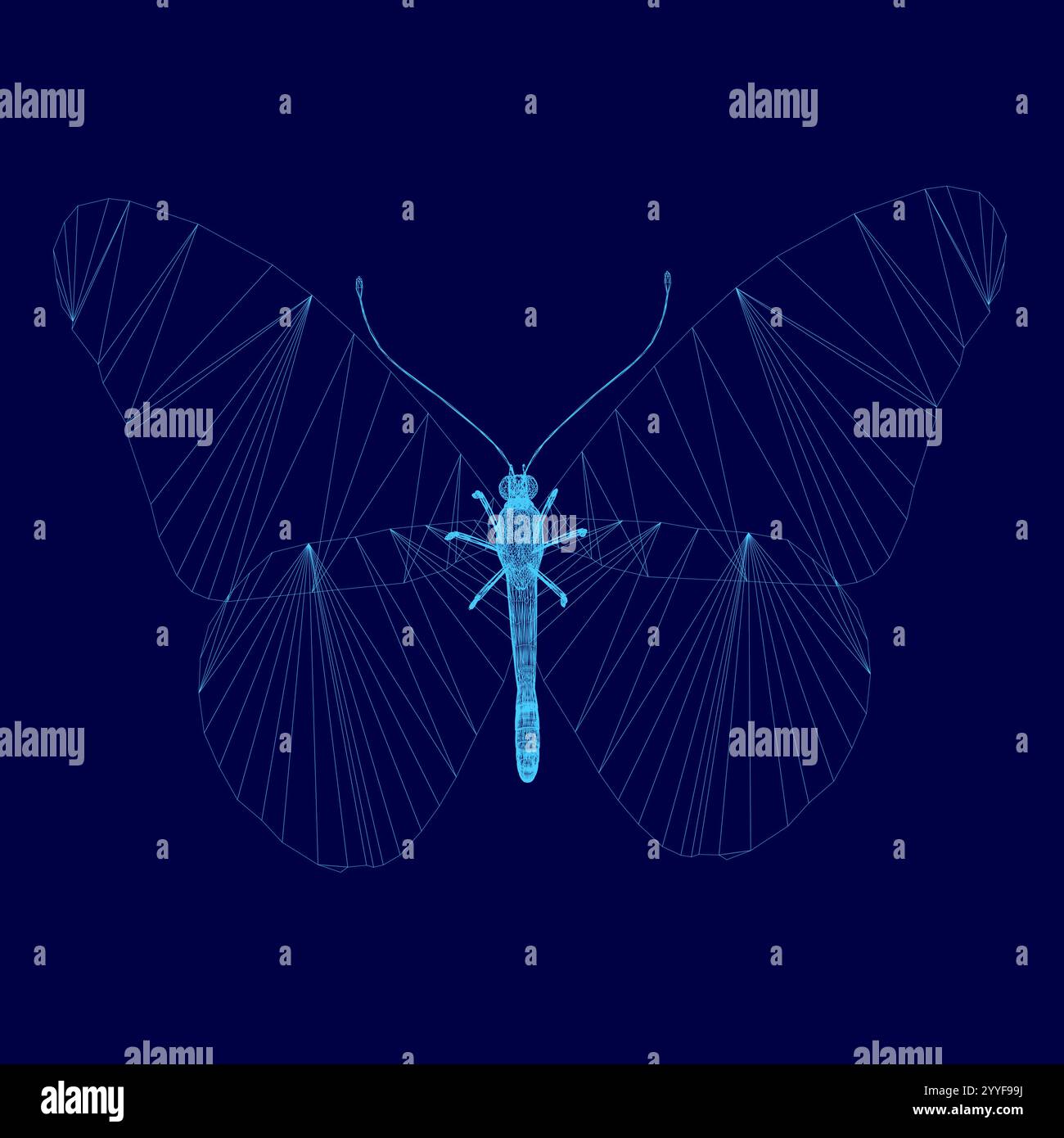 Wireframe of butterflies. Blue pictures of butterflies. Insect ...