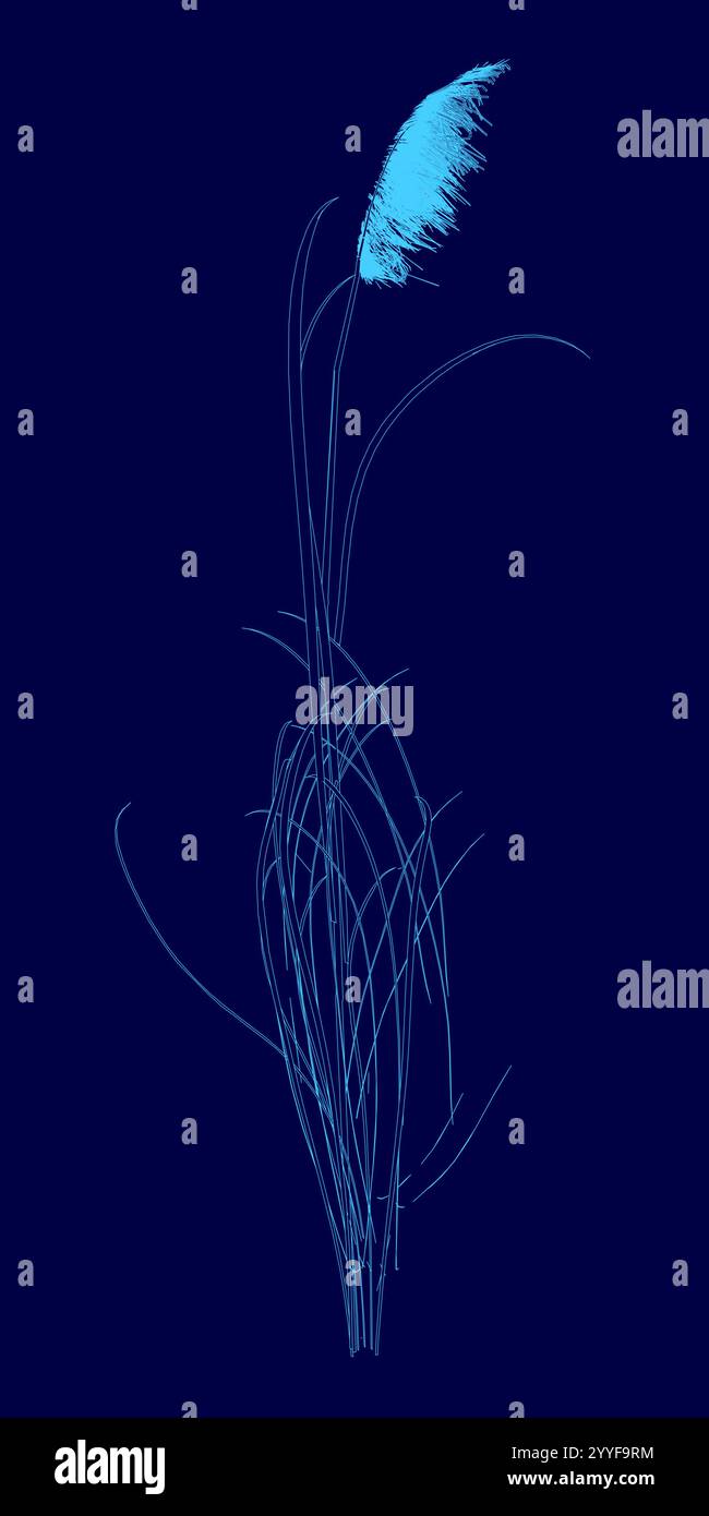 Plants blue contour, vector illustration Stock Vector Image & Art - Alamy