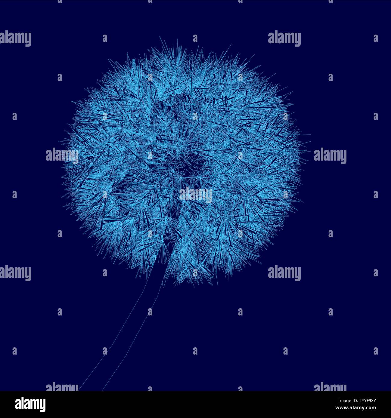 Contour of dandelion in blue color background. Vector illustration ...