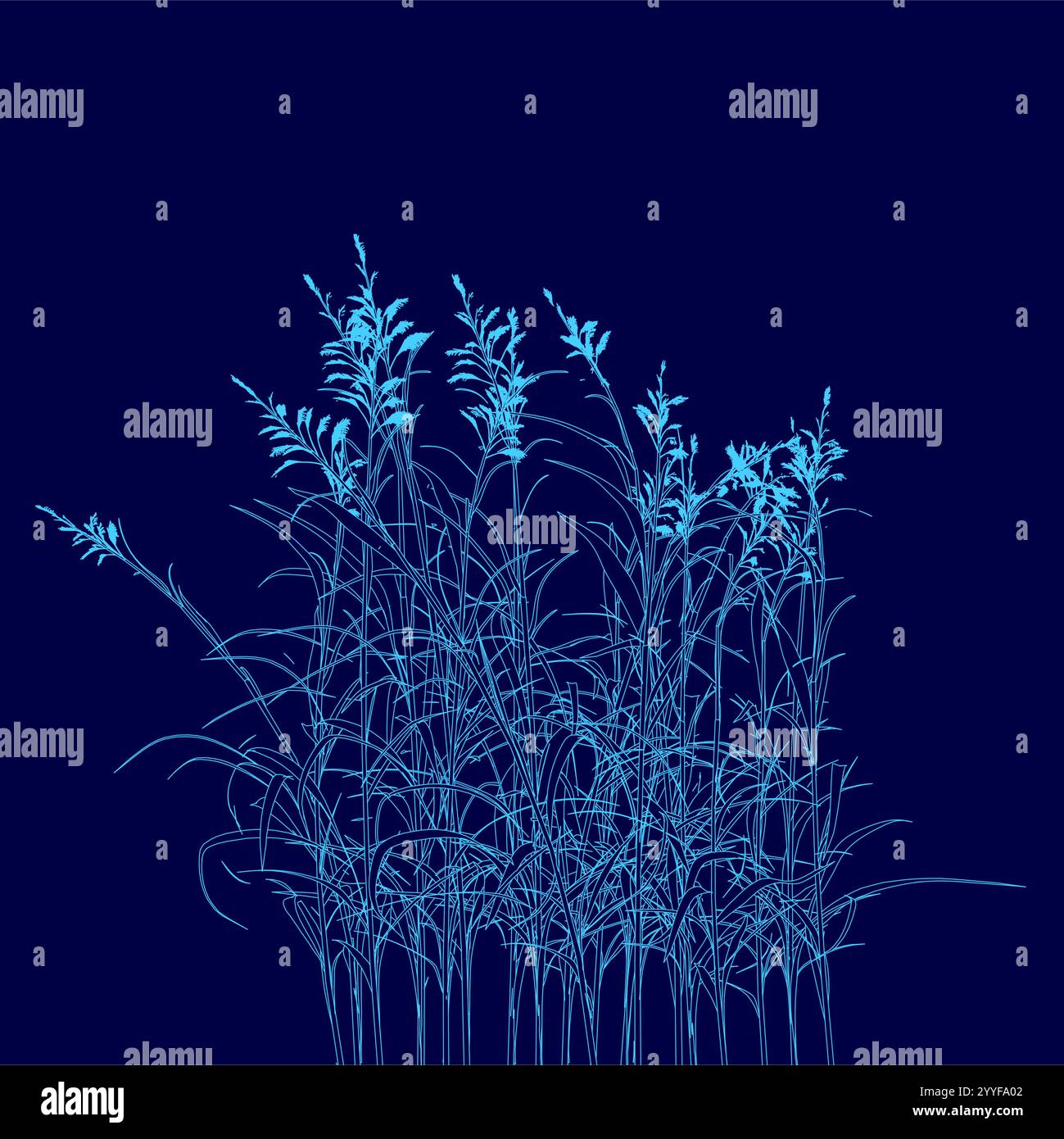 Plants blue contour, vector illustration Stock Vector Image & Art - Alamy