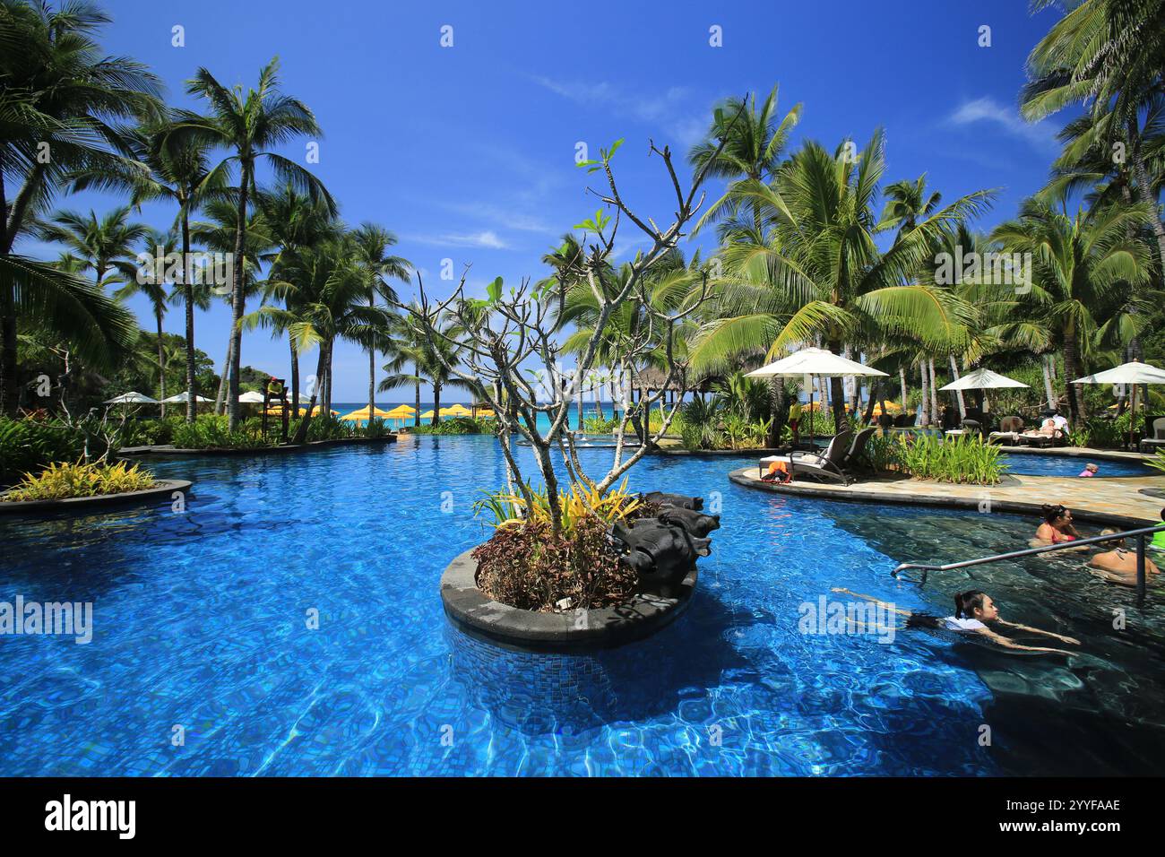 nature, created by nature, view, sky, purity, untouched, pure, sunny ...