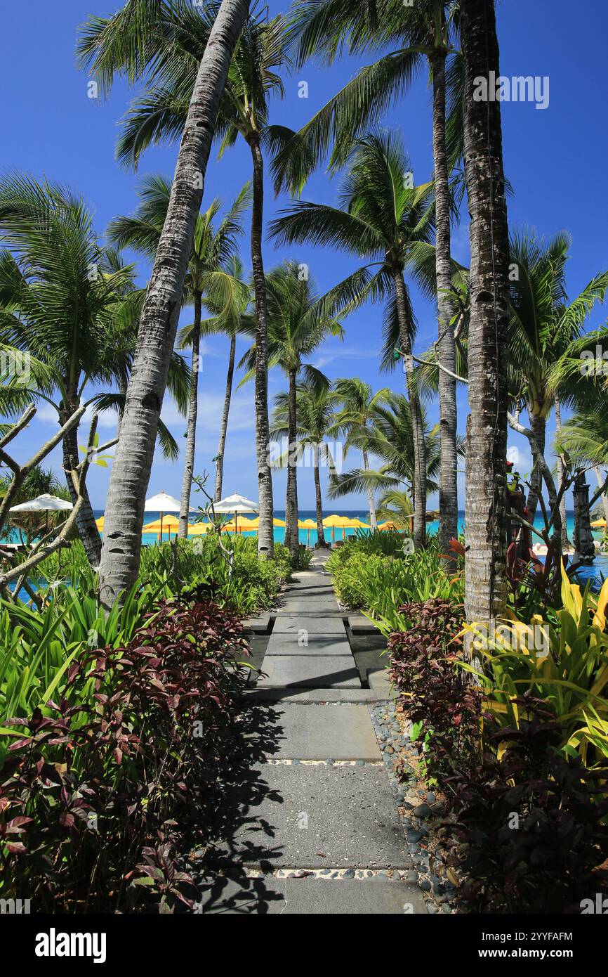 nature, created by nature, view, sky, purity, untouched, pure, sunny ...