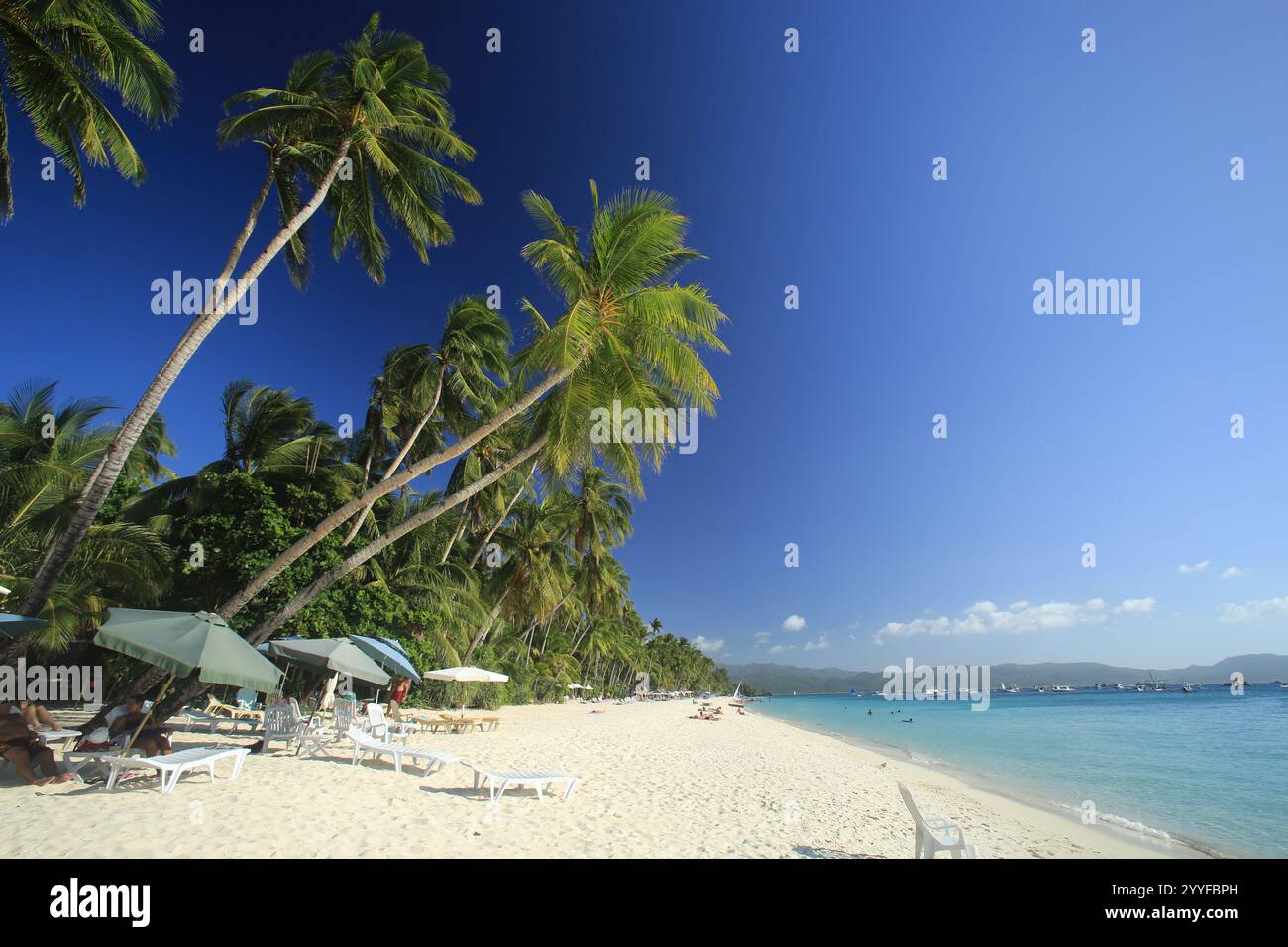 nature, created by nature, view, sky, purity, untouched, pure, sunny ...