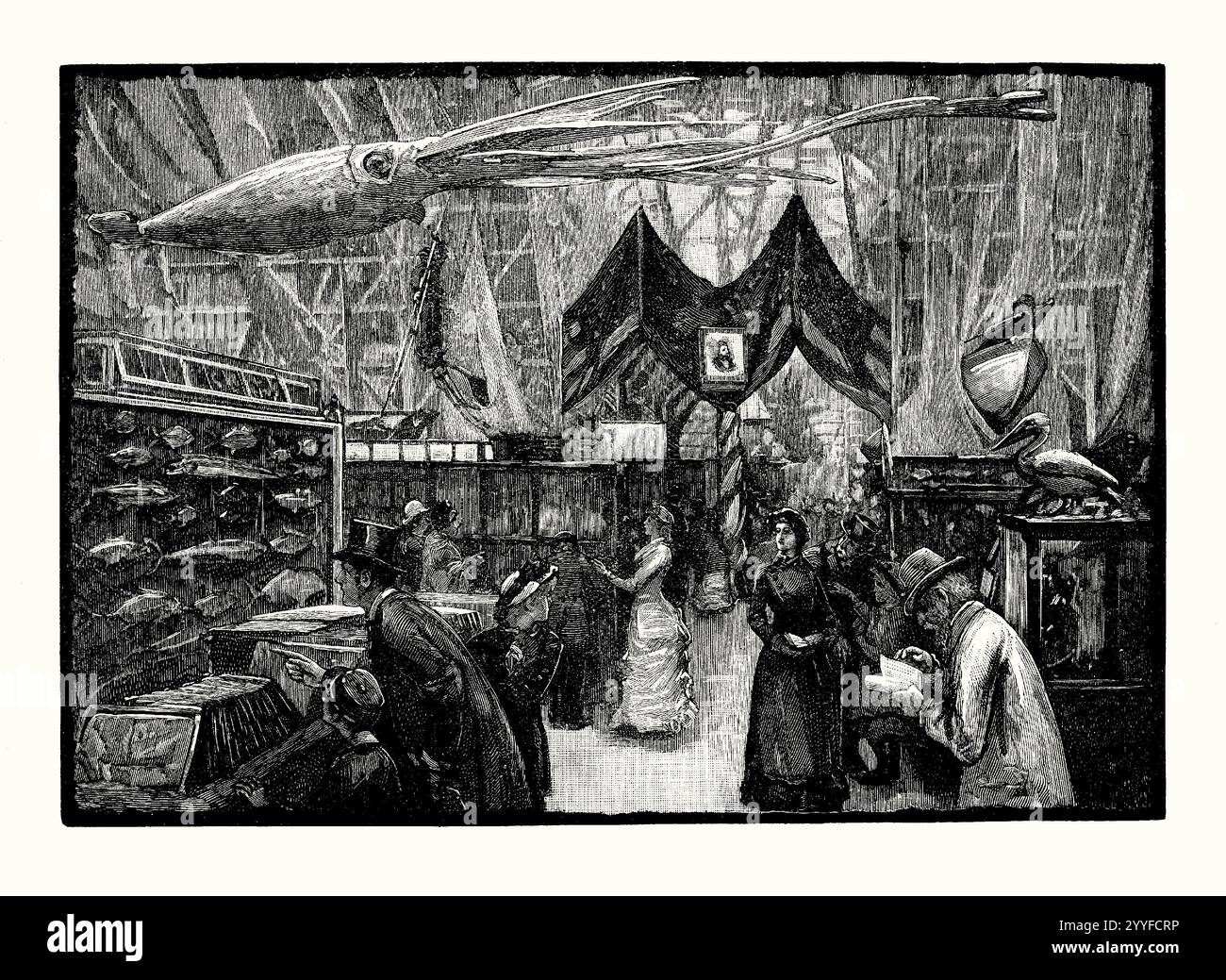 An old engraving of the United States display at The International ...