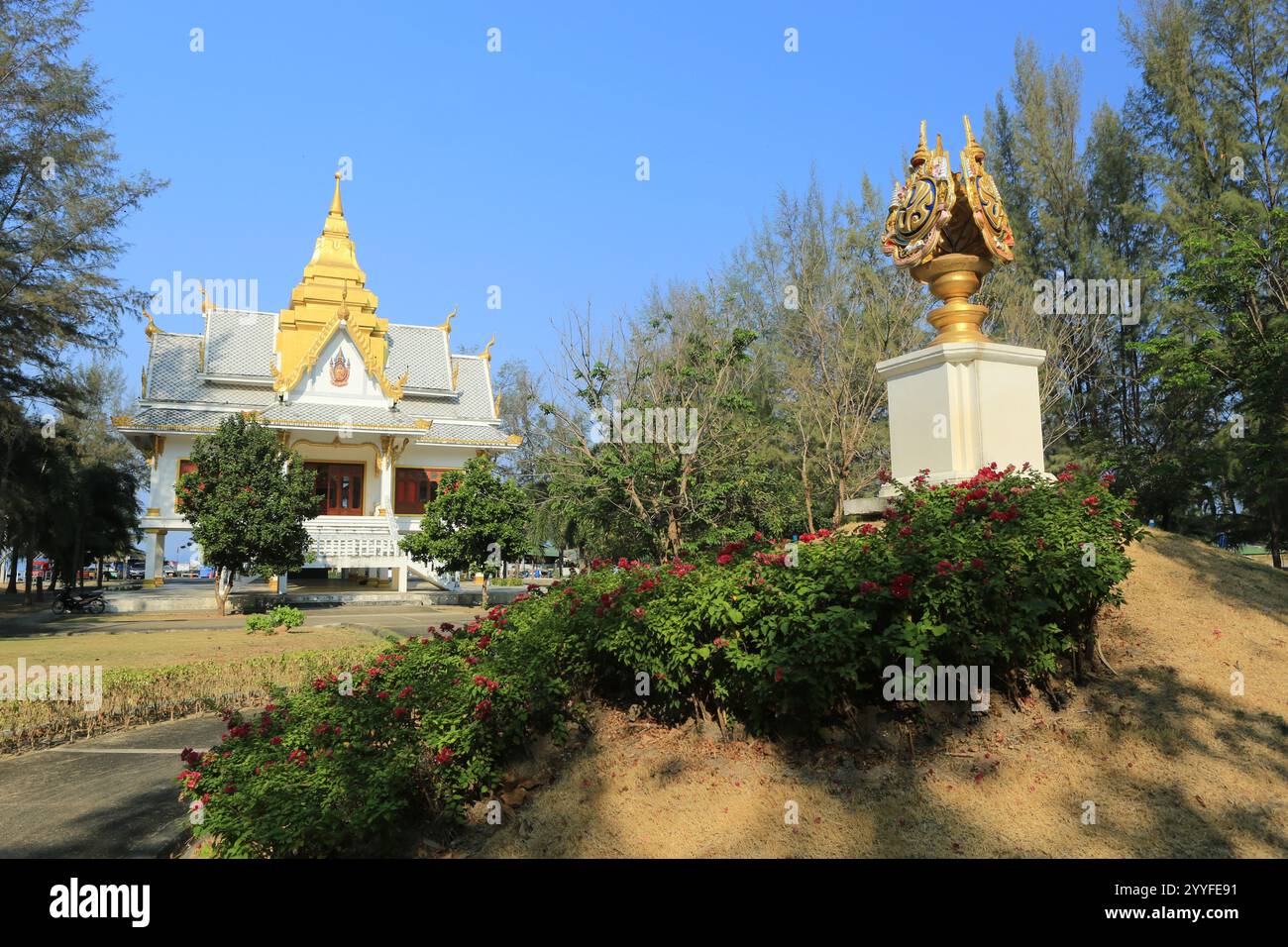 nature, created by nature, view, sky, purity, untouched, pure, sunny ...