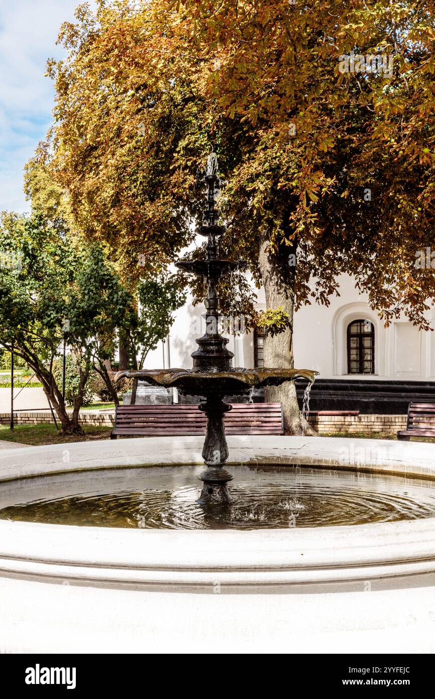 A fountain with a tree in the background. The fountain is surrounded by ...