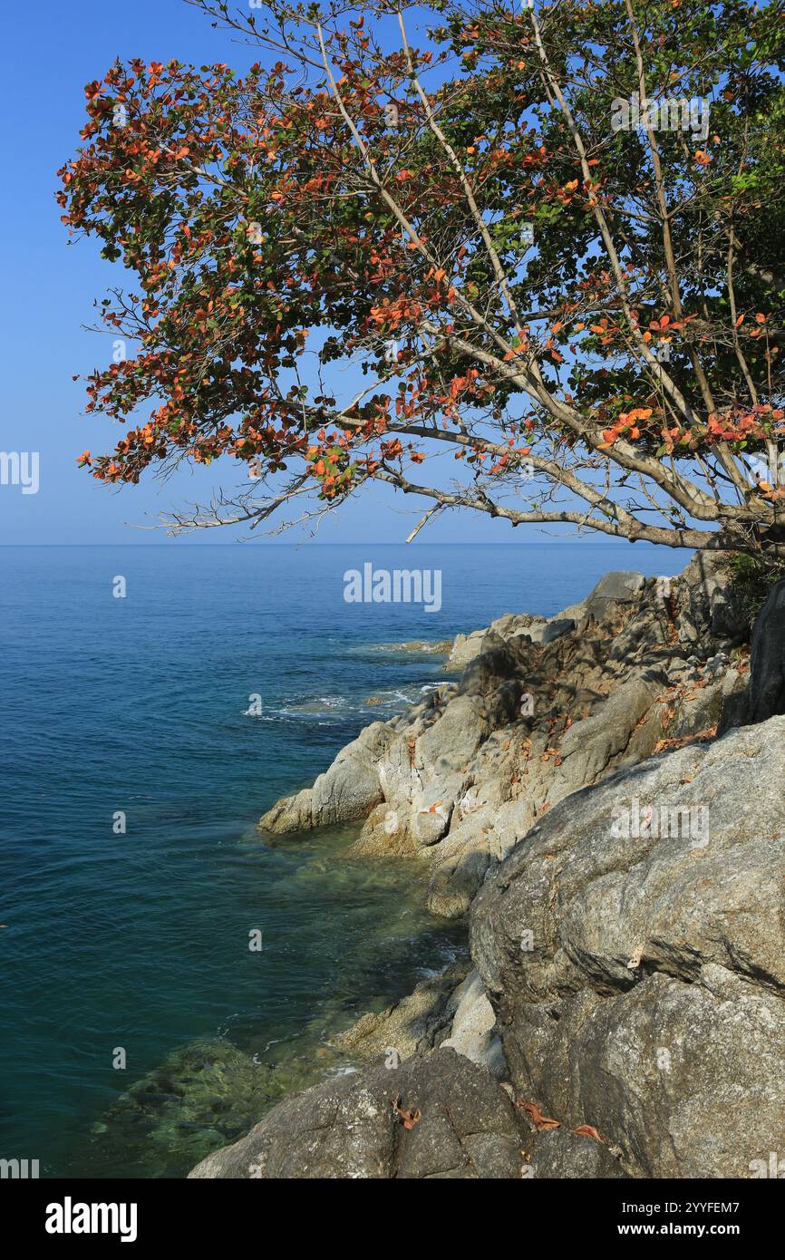 nature, created by nature, view, sky, purity, untouched, pure, sunny ...