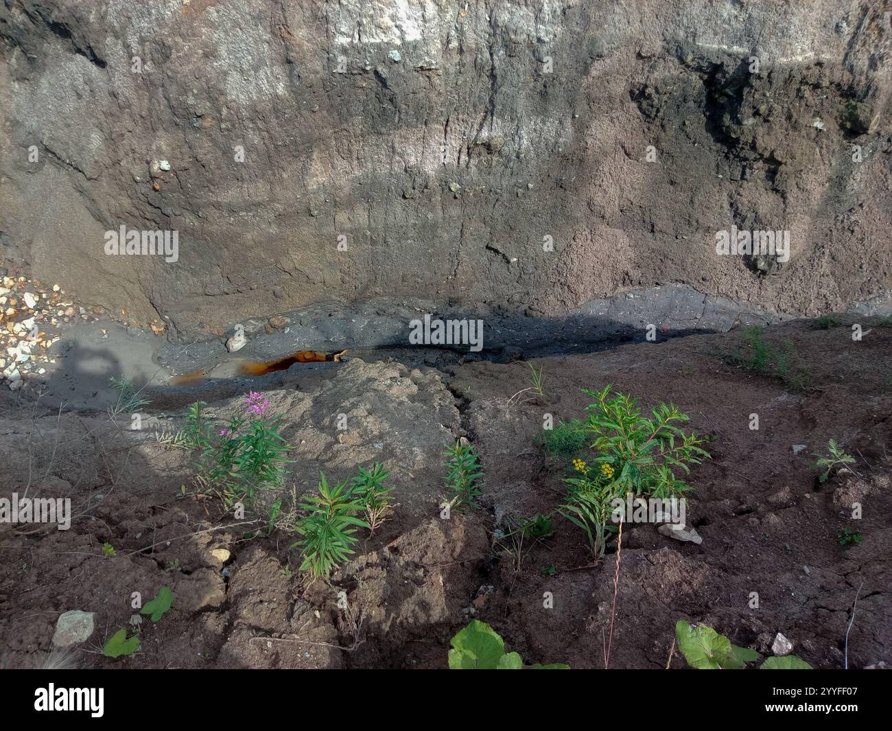 Quarry for the extraction of multi-colored clay in the Ural Mountains ...