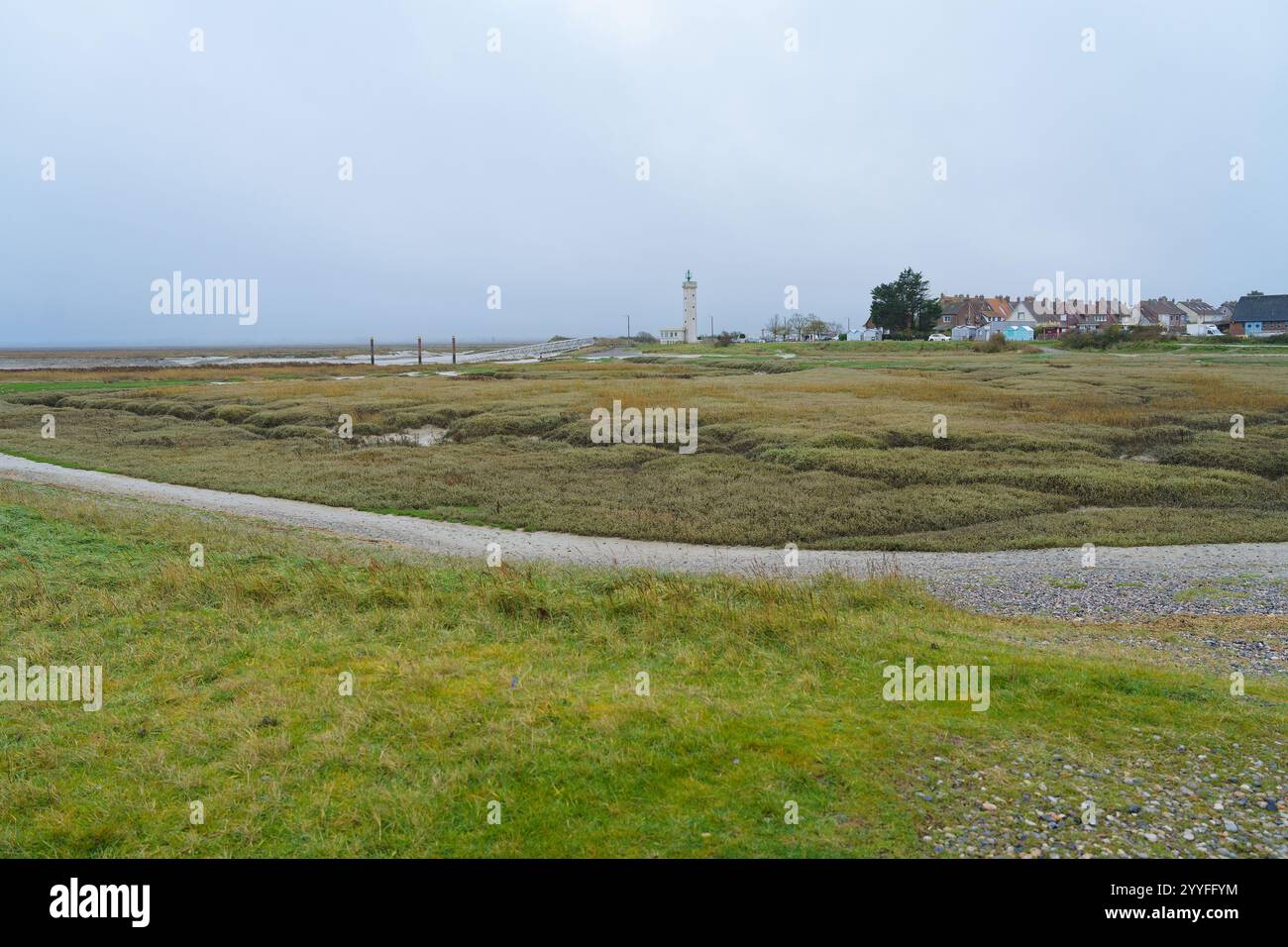 Coastal landscape features marshland and lighthouse under a cloudy sky ...