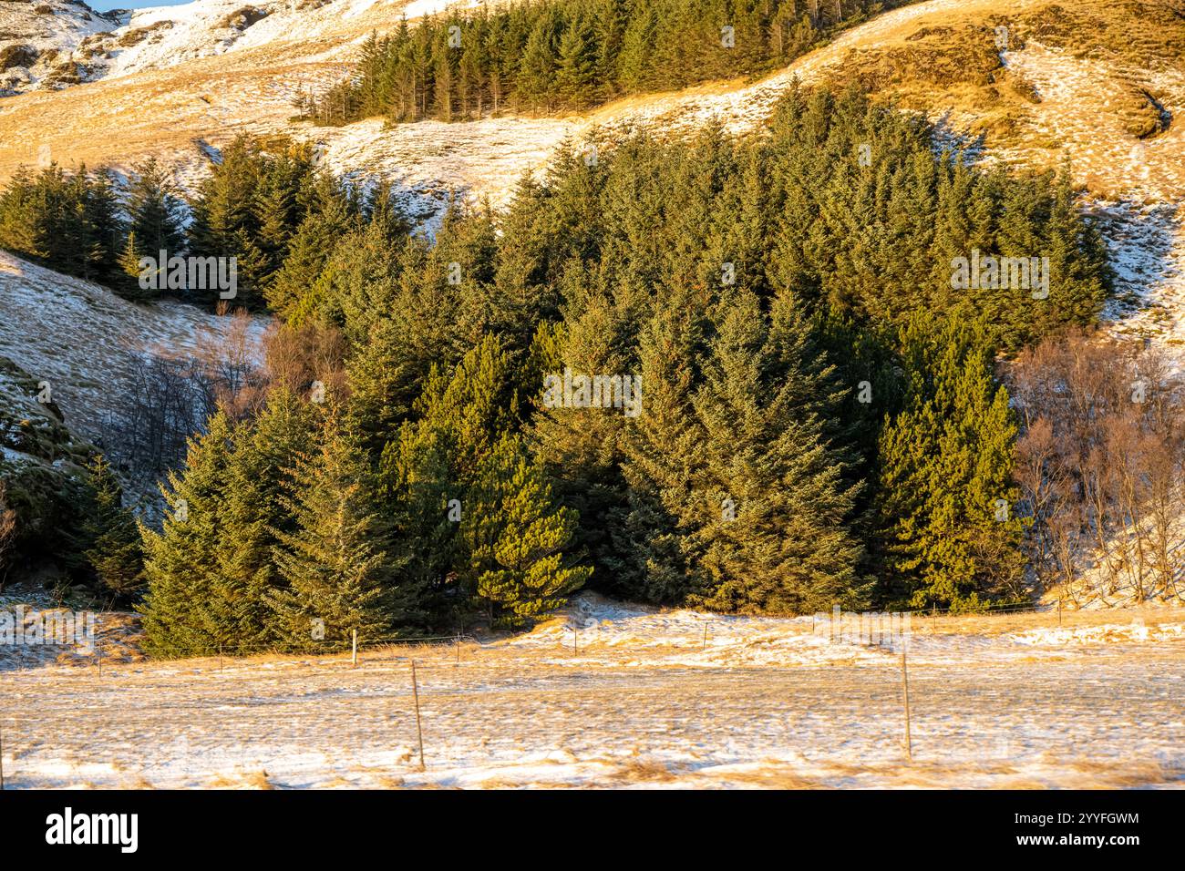 View of hill range landscape with green bush on Vik village. The ...