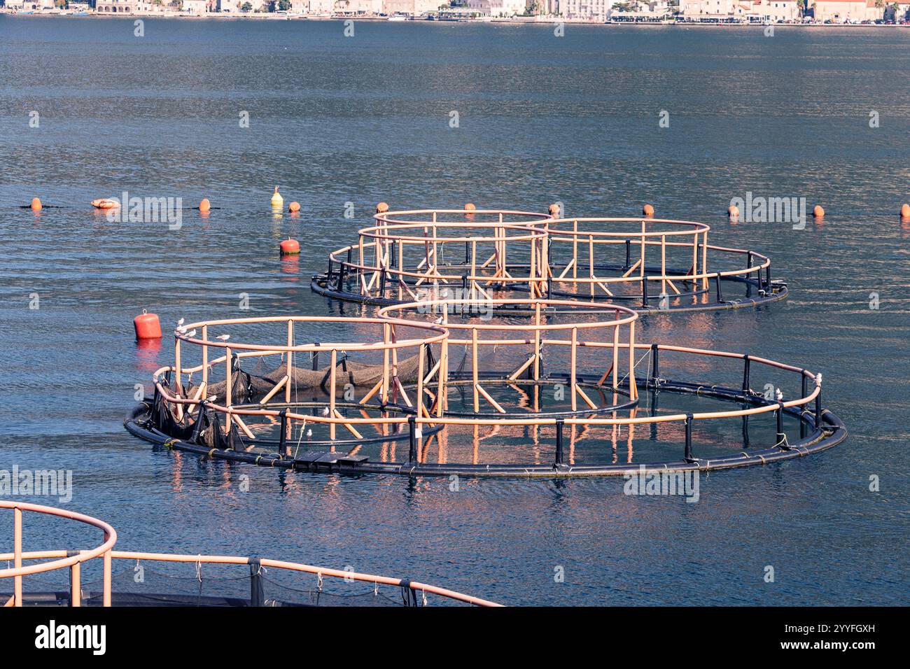 Round aquaculture cages for fish farming floating in calm ocean water ...