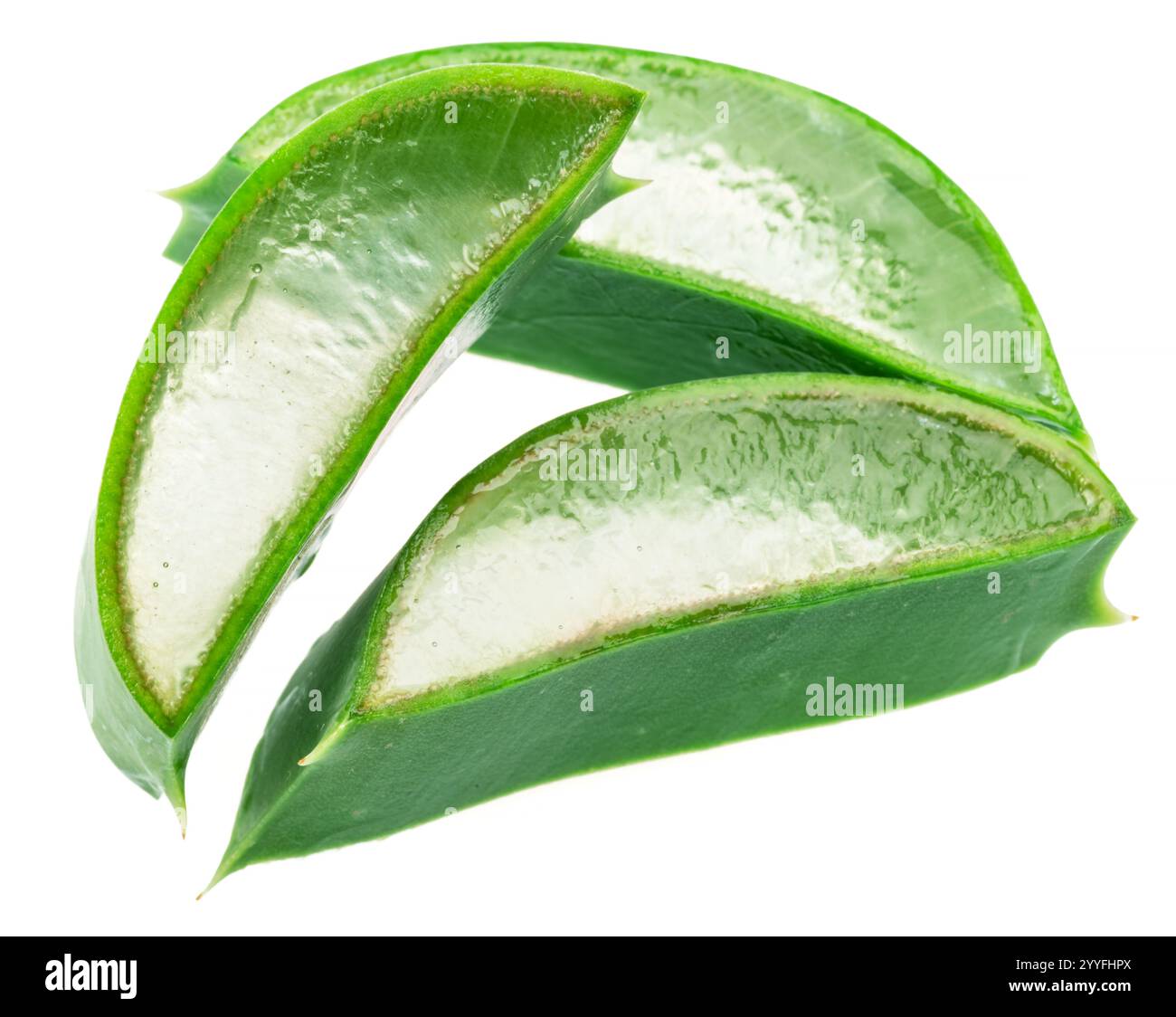 Fresh cuts of aloe vera leaf, macro shot isolated on white background ...