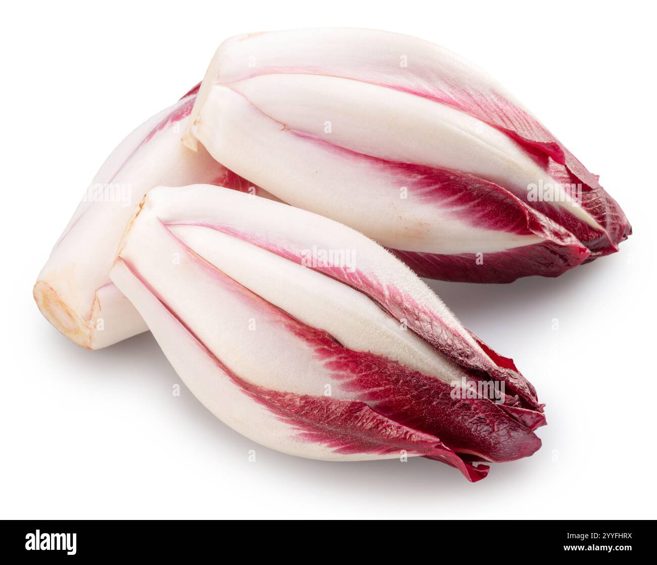 Red endive on white background. File contains clipping path Stock Photo ...
