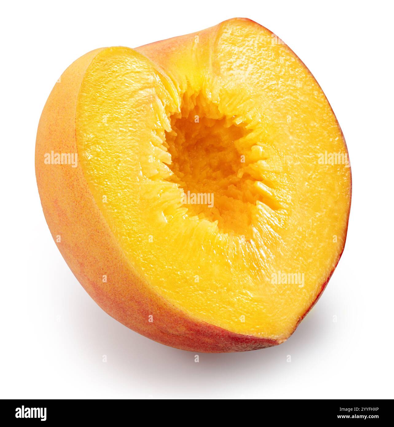 Peach Seed Cross Section