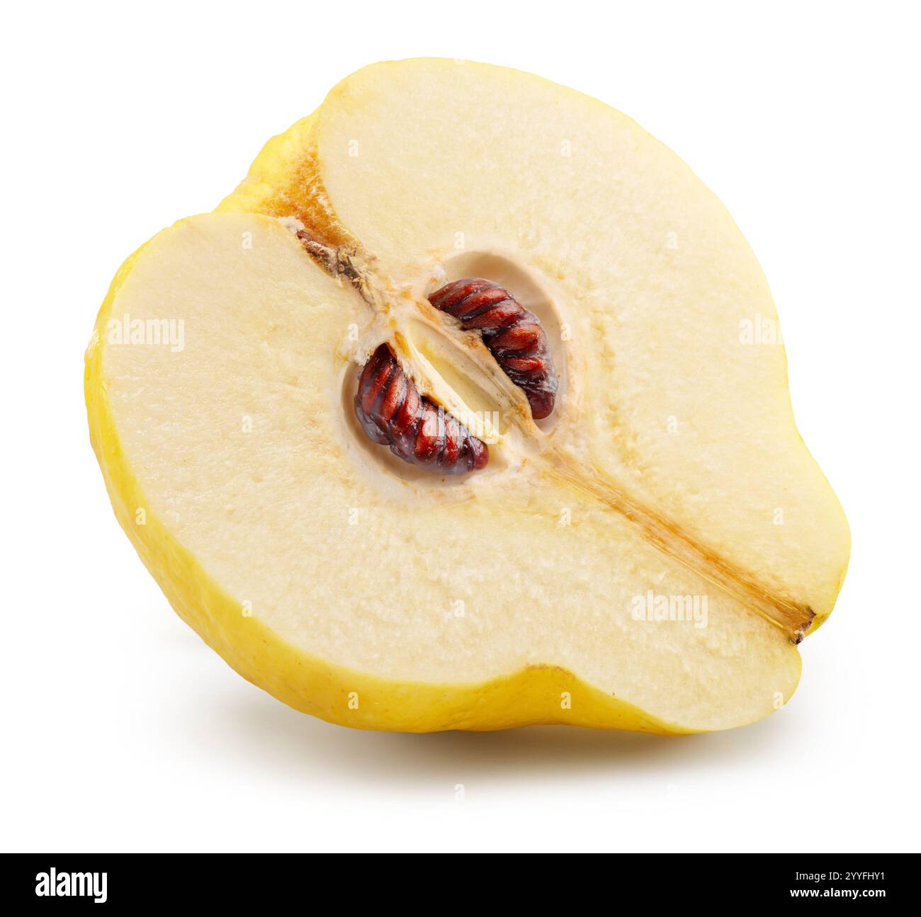 Longitudinal section of quince fruit with brown seeds isolated on white ...
