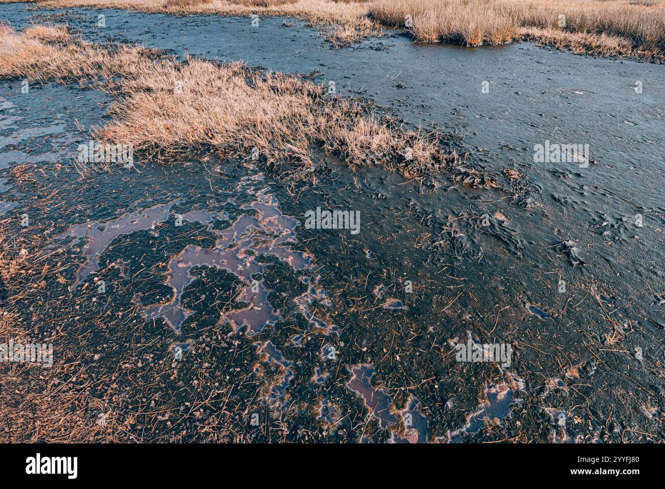 Environmental pollution with petroleum products polluting the soil and ...