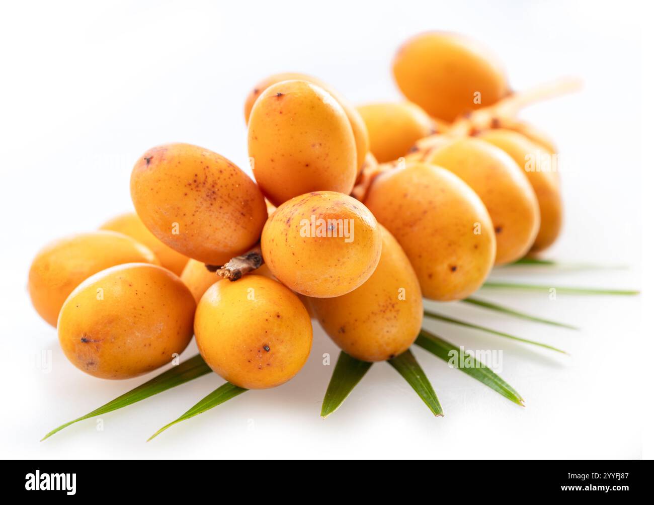 Cluster of yellow fresh dates, or date palm fruits lie on palm leaves ...