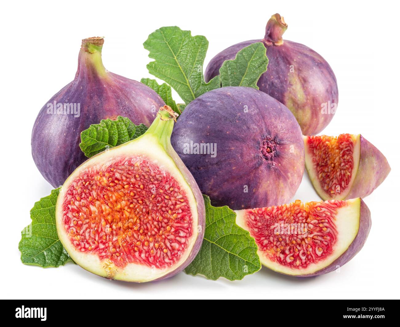 Fig fruits with fig leaves and slices of fig isolated on white ...
