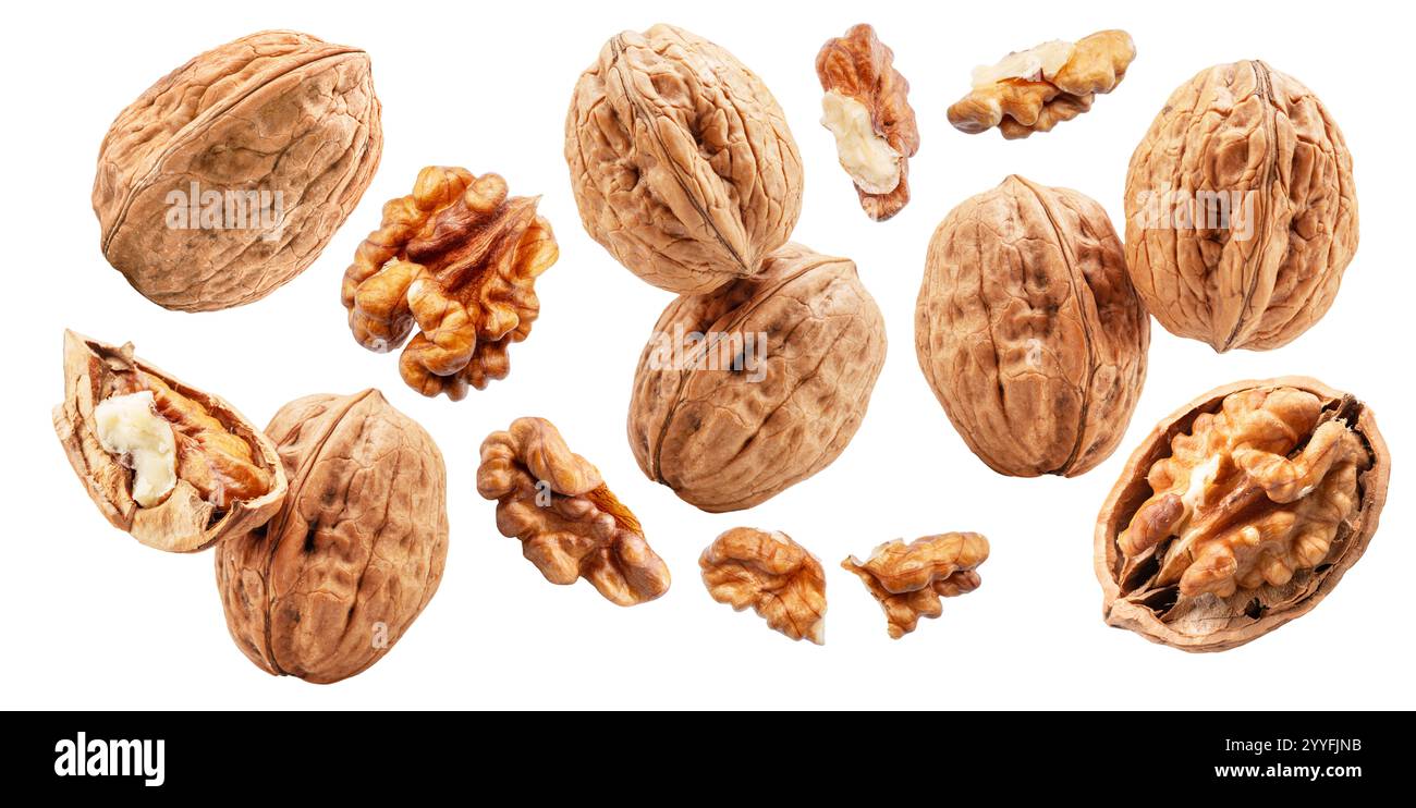 Set of whole walnuts, walnut kernel and cracked walnut isolated on ...