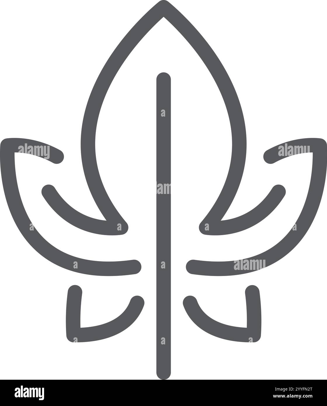 Symmetrical green plant leaf Stock Vector Images - Alamy