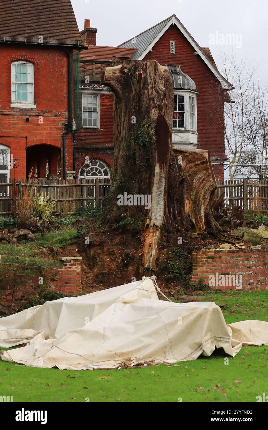 Ymca fairthorne manor hi-res stock photography and images - Alamy