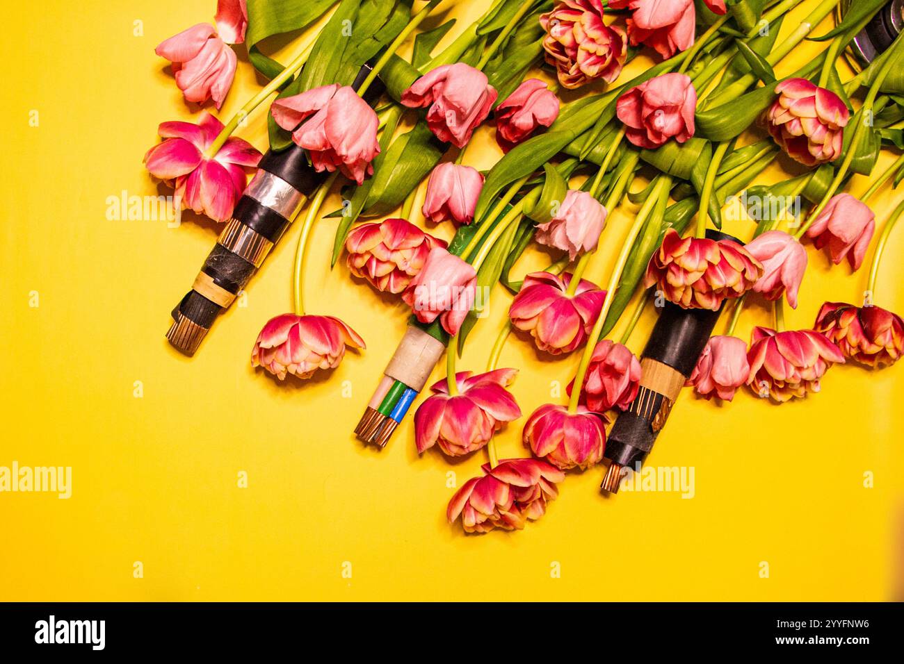 Wire copper Kabel yellow spring tulips background Stock Photo - Alamy