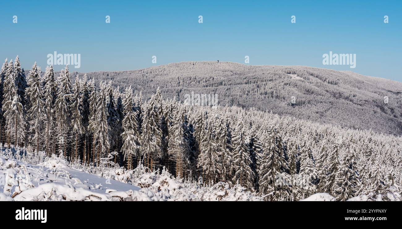 Boruvkova hora hill with lookout tower and frozen snow covered forest ...